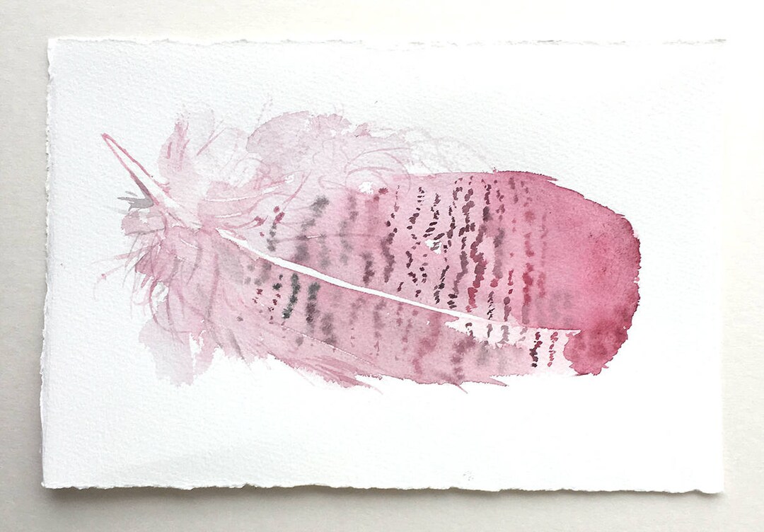 Pale Pink Feather Painting Watercolour Original Fantasy Feather Artwork ...