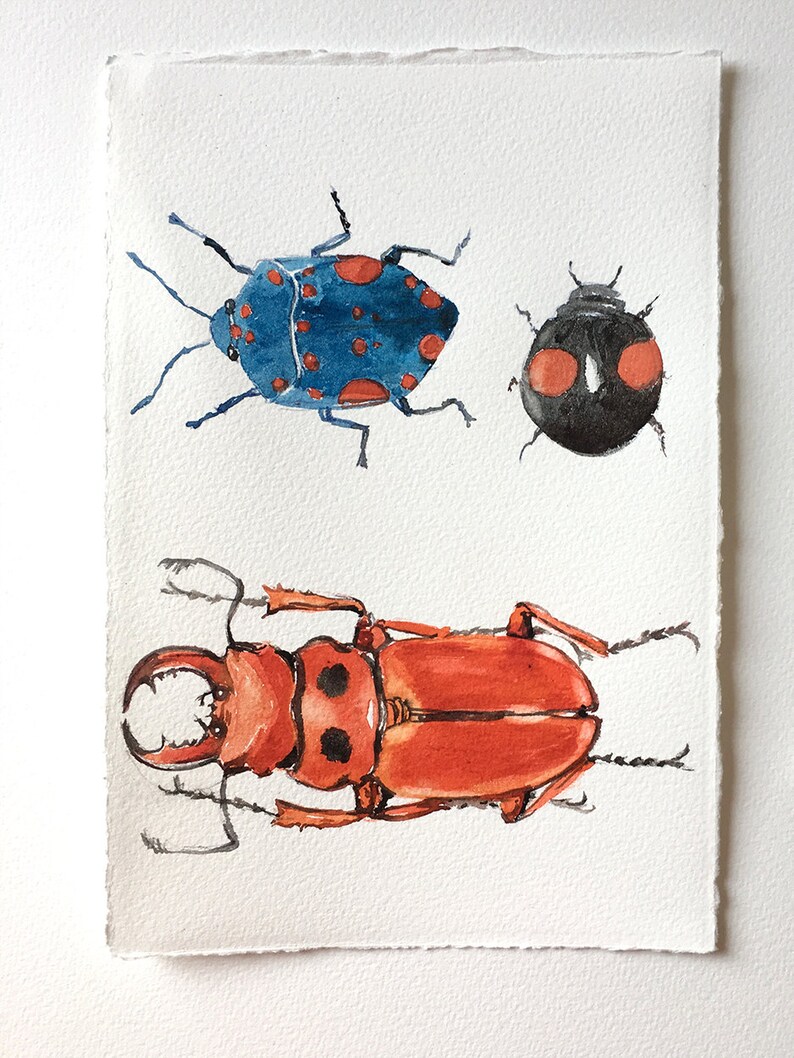 Red Beetle and Bugs Watercolour Painting Original, Insect Painting ...