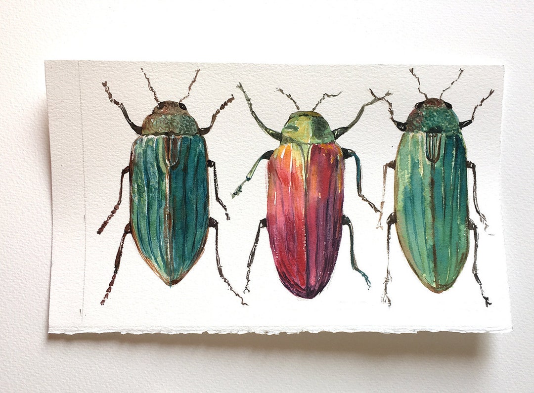Three Bugs Watercolour Painting, Beetles Illustration, Insect Wall Art ...