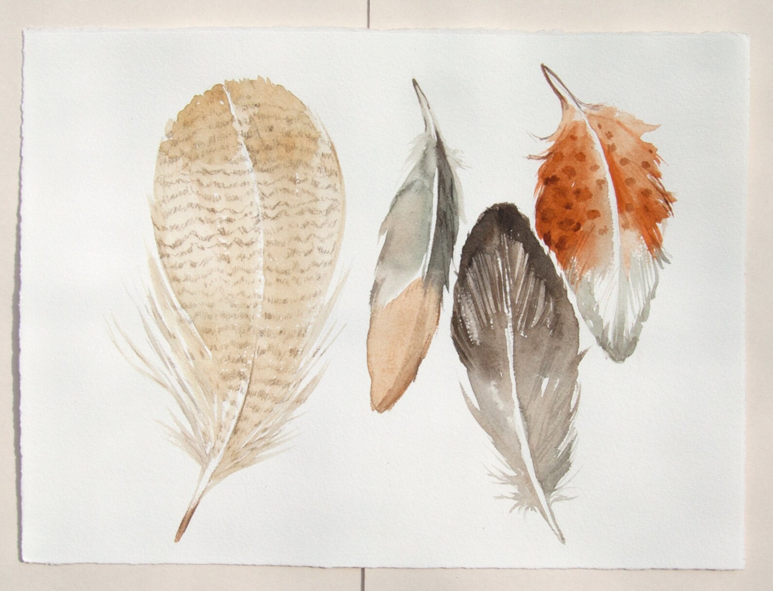 Feathers Paintings Original Watercolor Illustration/ Painted Feathers ...