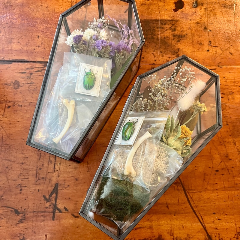 Coffin Terrarium Crafts - Etsy