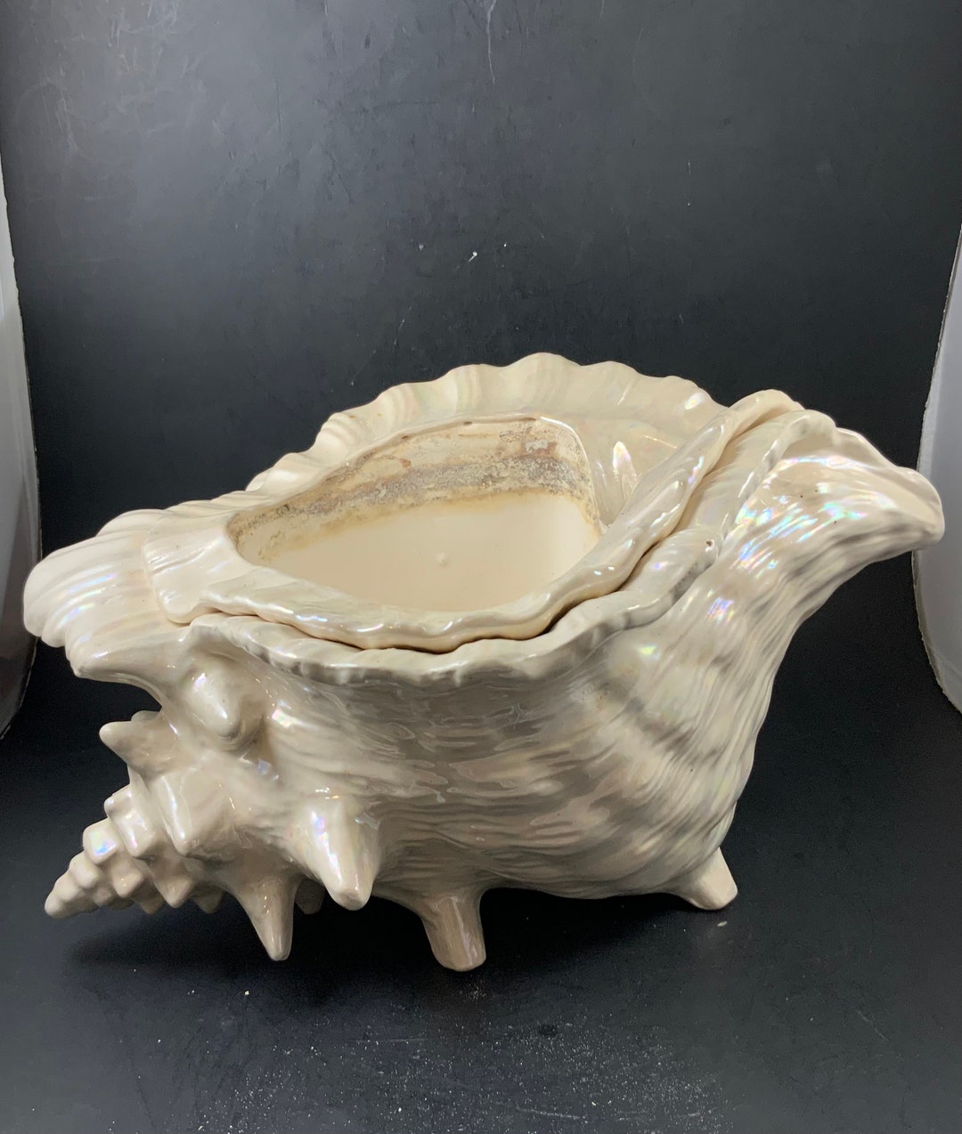 Vintage CONCH SHELL PLANTER, White Opalescent African Violet Planter ...