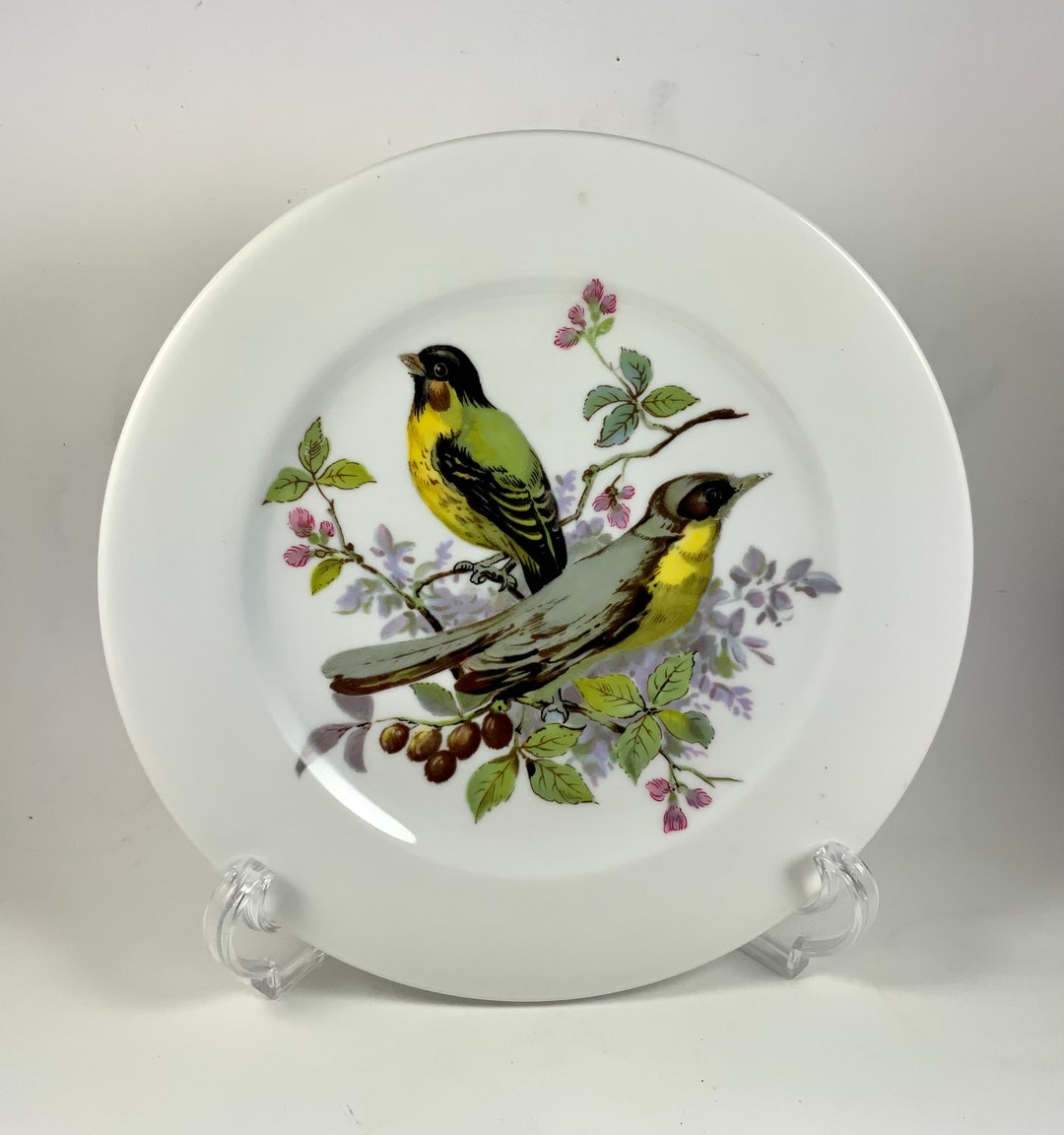 Vintage BAVARIAN BIRD PLATE, Pair of Birds W/ Florals, Signed Bavaria ...