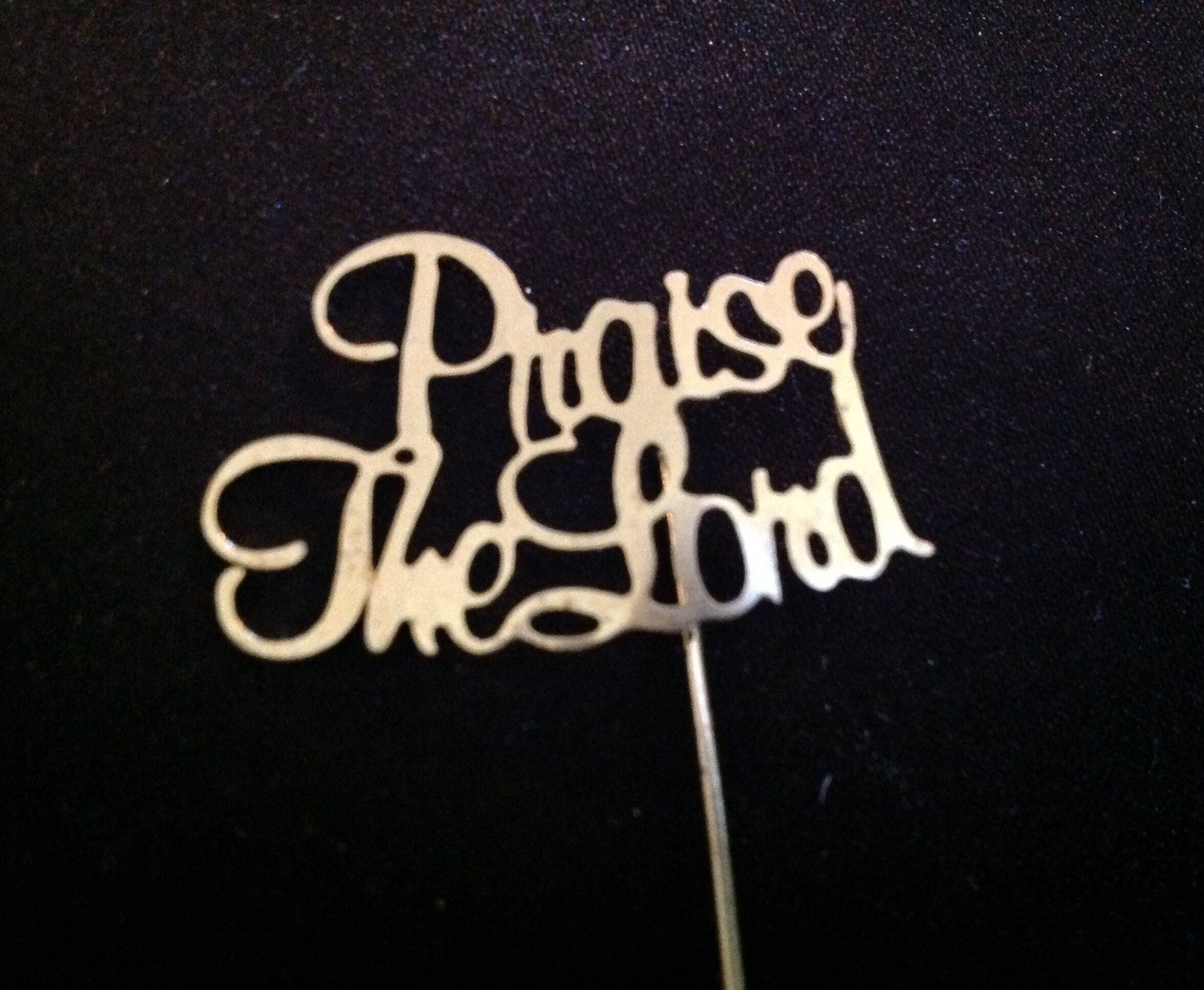Vintage PRAISE THE LORD Stick/hat Pin - Etsy