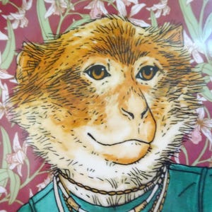 Rachel Kozlowski, Dapper Animal/macaque Monkey Plate Collectable, West ...