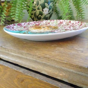 Rachel Kozlowski, Dapper Animal/macaque Monkey Plate Collectable, West ...