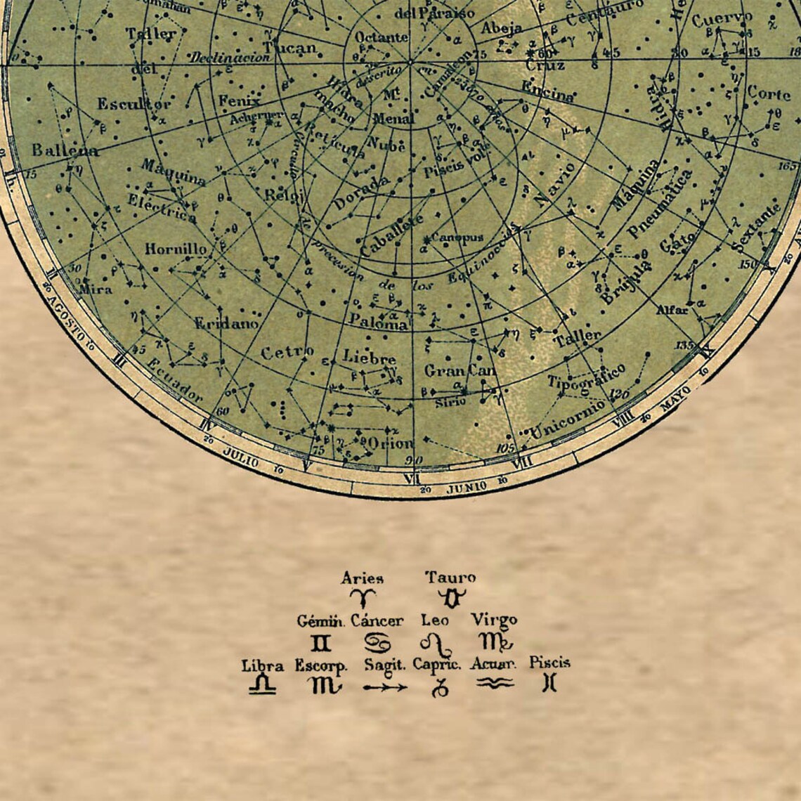 Celestial Chart Stars Southern Hemisphere Constellations Print - Etsy