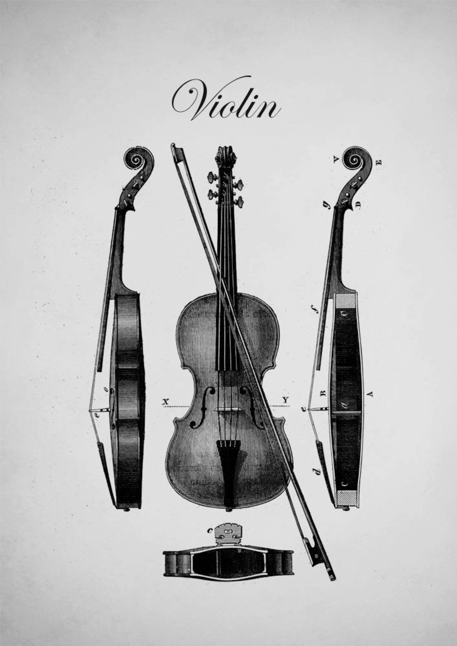 Violin Poster, Violin Art, Orchestra, Violin Wall Art, Classical Music ...