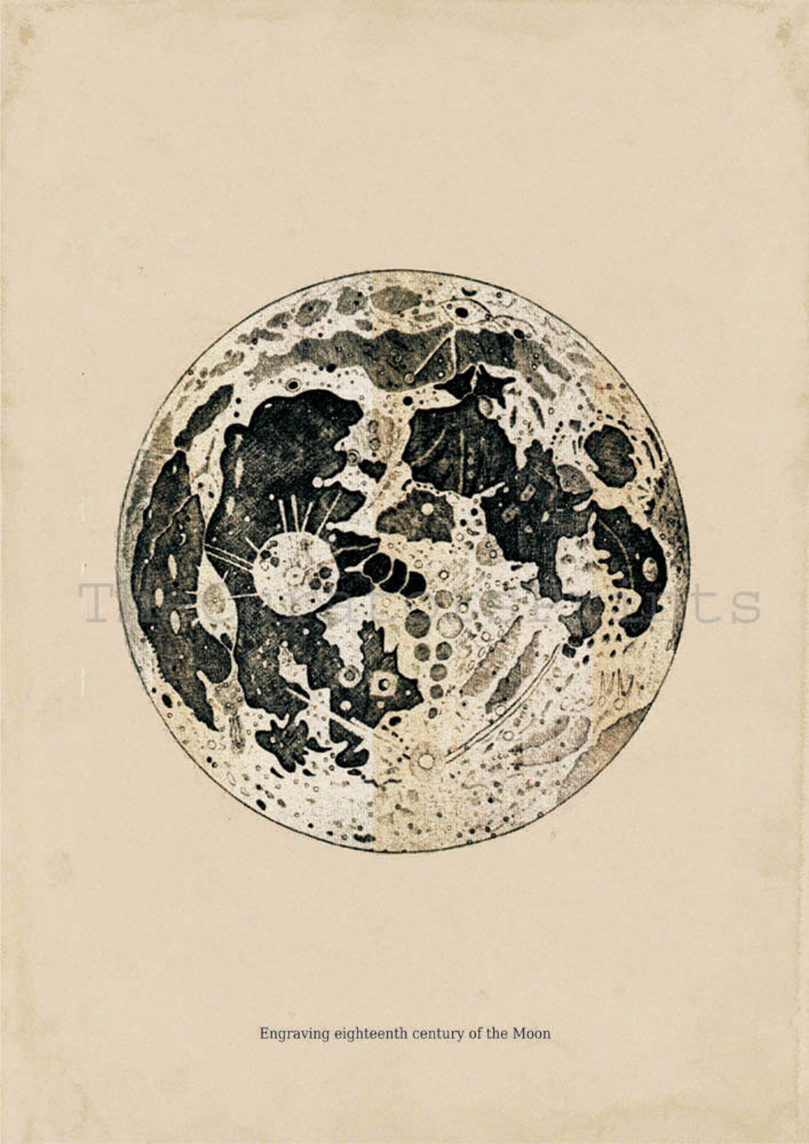 Astronomy Print Antique Engraving of the Moon Recovered - Etsy