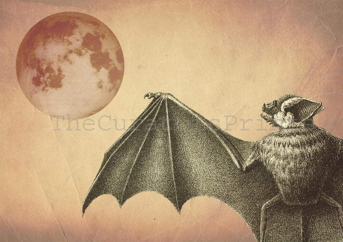 Halloween Print Poster Bat at Night Mixed Media Digital Collage Altered ...
