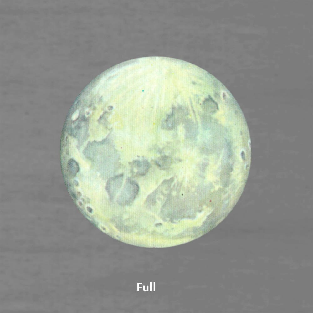 Moon Phases Astronomy Print Poster to Frame Planet Earth | Etsy