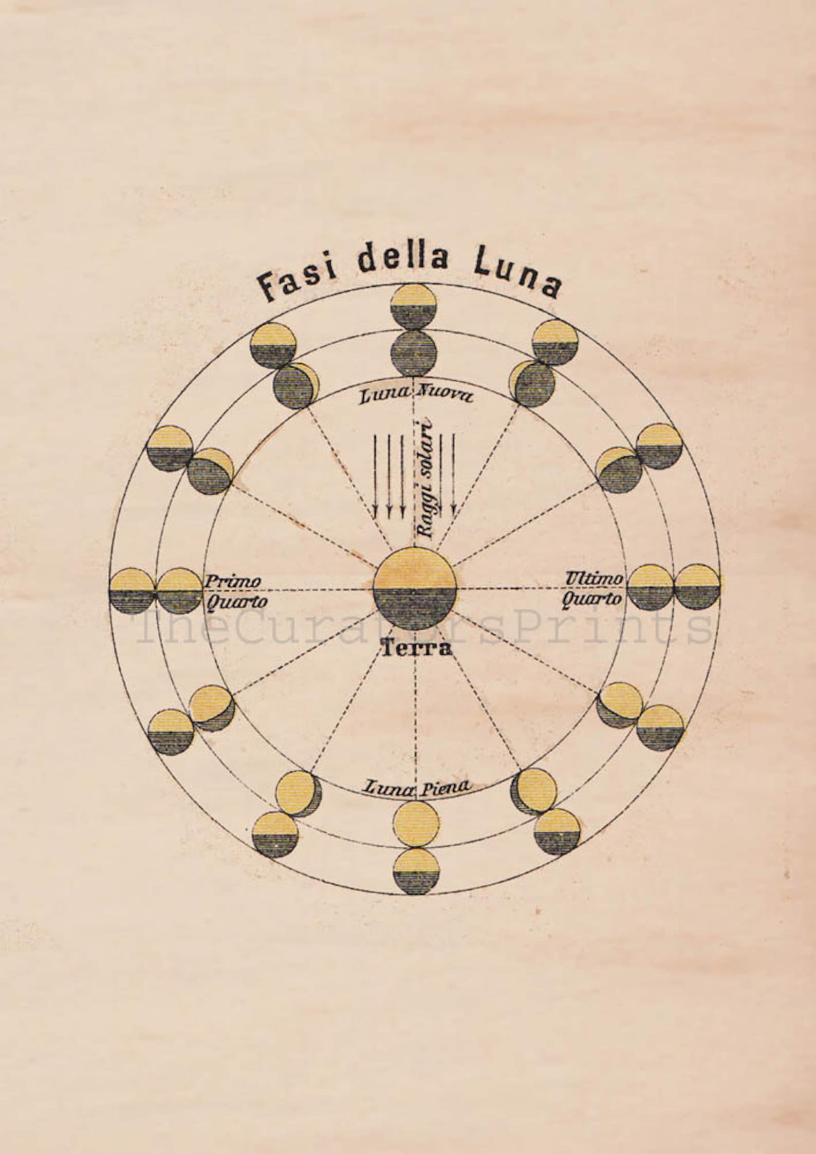 SET of Moon Sun and Earth Astronomy Print Poster Vintage - Etsy