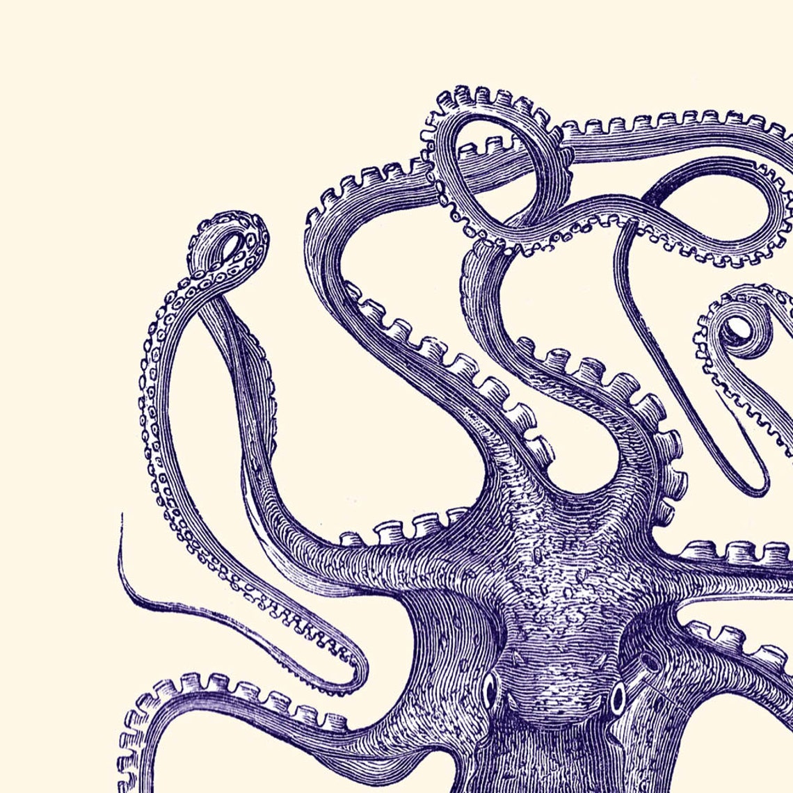 Octopus Blue Octopus Print Nautical Print Beach House Decor - Etsy