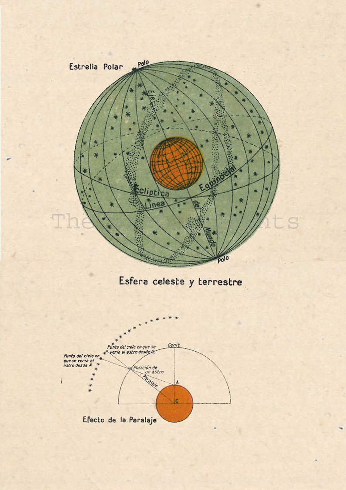 Astronomy Print Celestial Sphere Terrestial Globe Sky Earth Parallax - Etsy