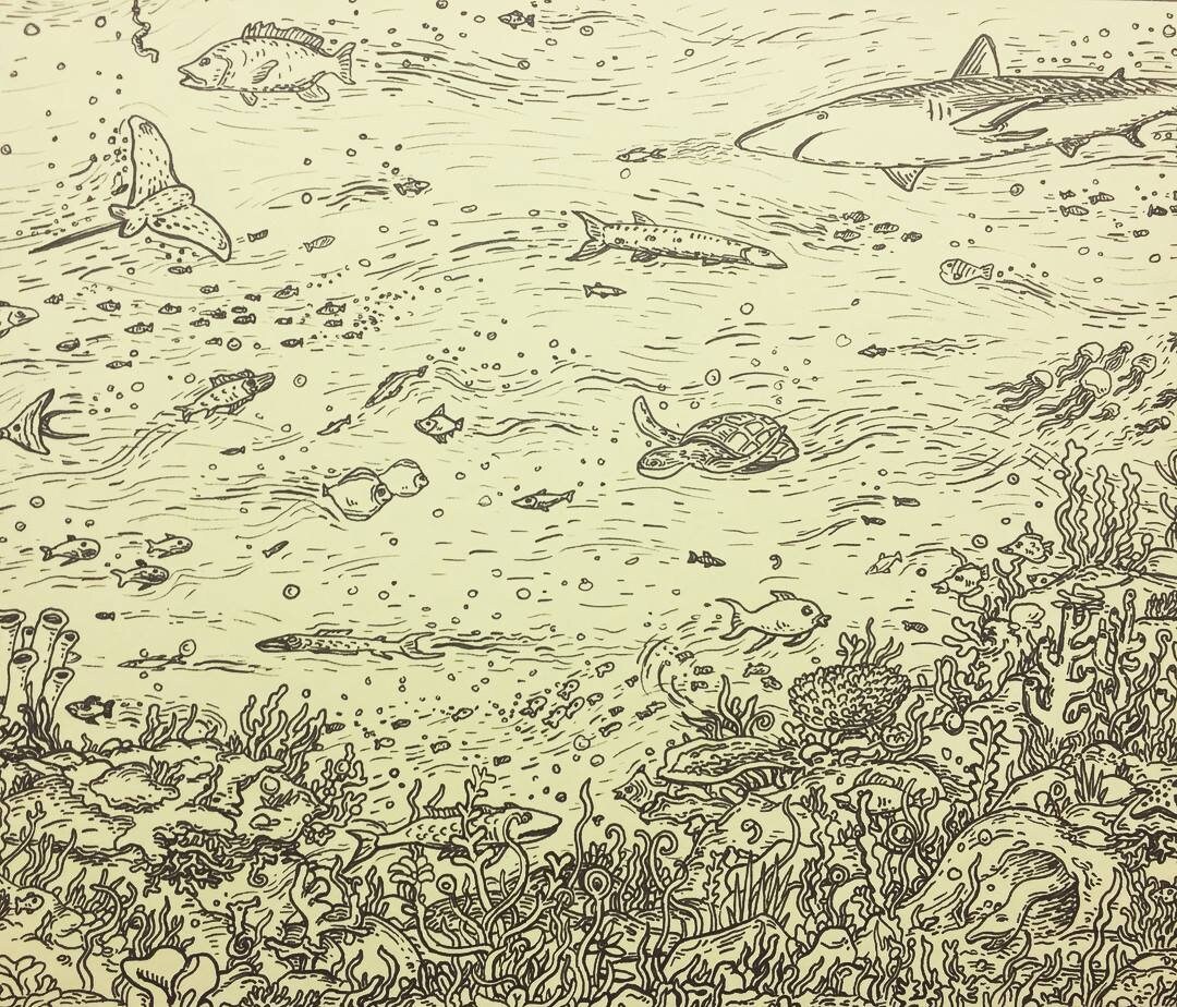 Sea Life Drawing Ocean Artwork for Home or Office 8.5x11 Print - Etsy
