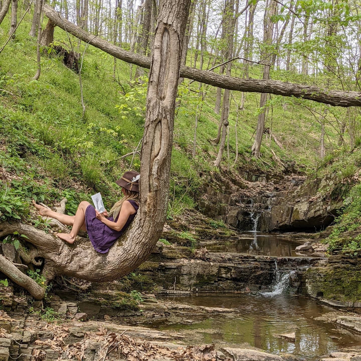 Poetry Book Humans Being by Joni Juniper Poem Collection - Etsy