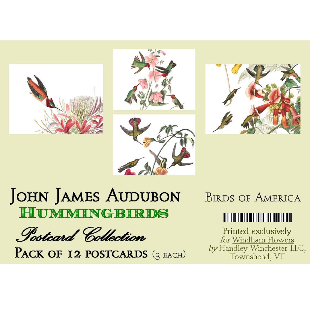 John James Audubon Hummingbird Postcards: Vintage Bird Art Prints, Set ...