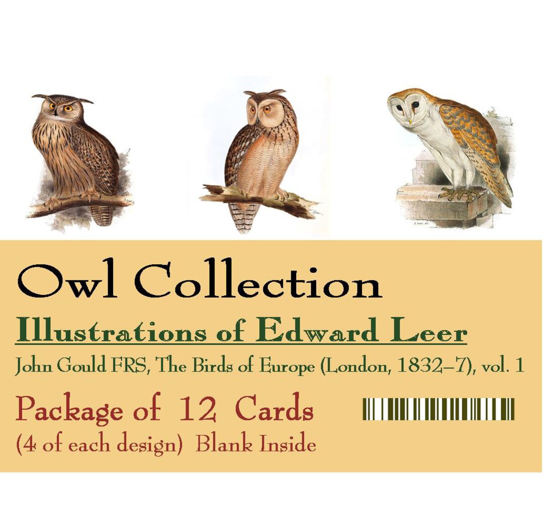 Edward Lear Owl Illustration Cards: Set of 12, Blank Inside (A2 Size ...