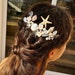 Shells Hair Comb Seashell Headpiece Starfish Beach Hairpiece - Etsy