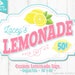 Custom Pink and Blue Lemonade Stand Sign - Digital Download, DIY ...