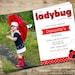 Ladybug Chocolate Candy Bar Wrapper - Instant Download, Printable ...