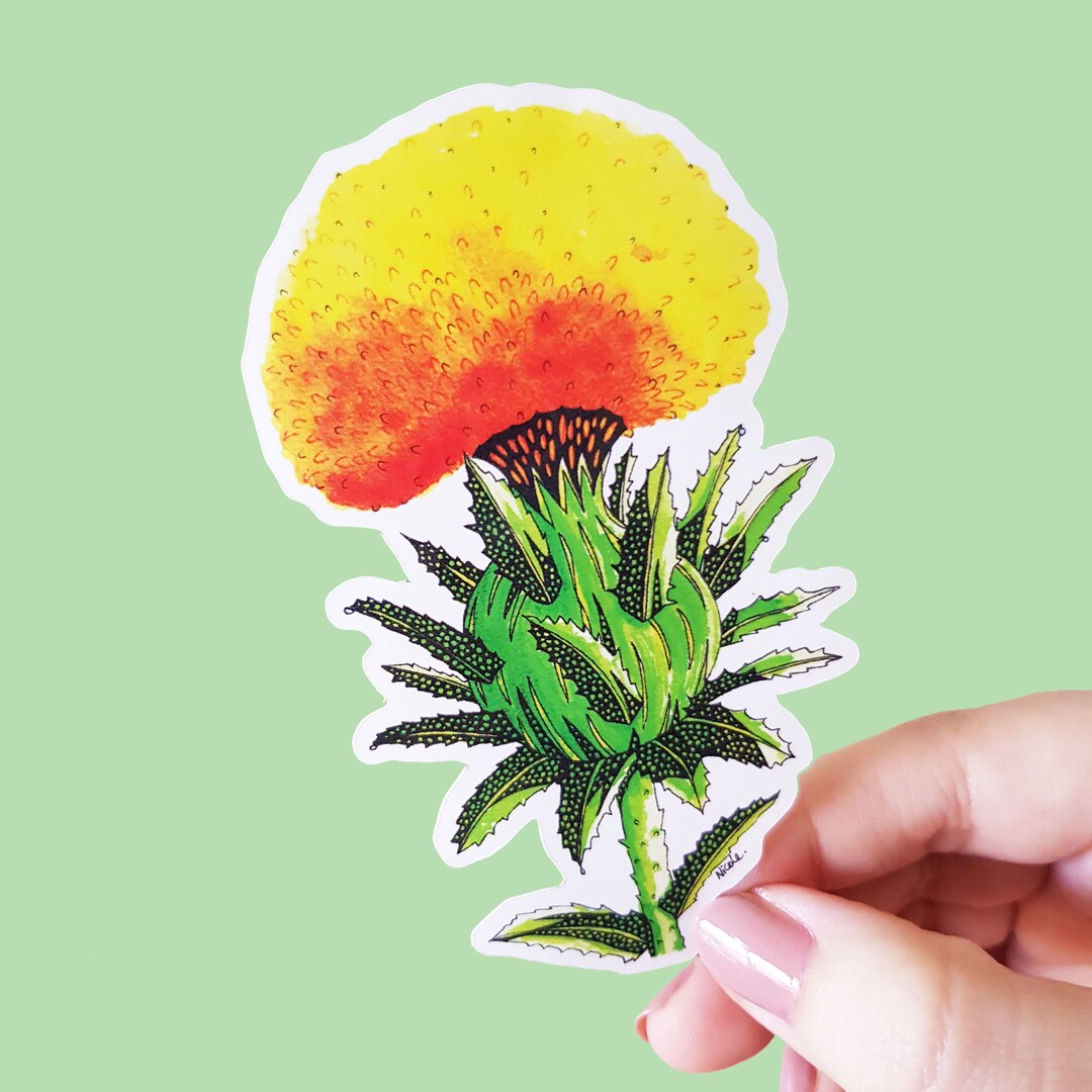 THISTLE STICKER (waterproof) - Etsy