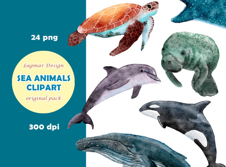 Marine Animals PNG Clipart Ocean Theme Wall Art Sea Turtle - Etsy