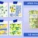 Lemon Digital Paper Summer Seamless Pattern File Citrus - Etsy