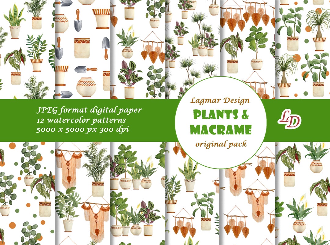 Digital Plants Paper, Potted House Plants Digital Paper, Macrame ...