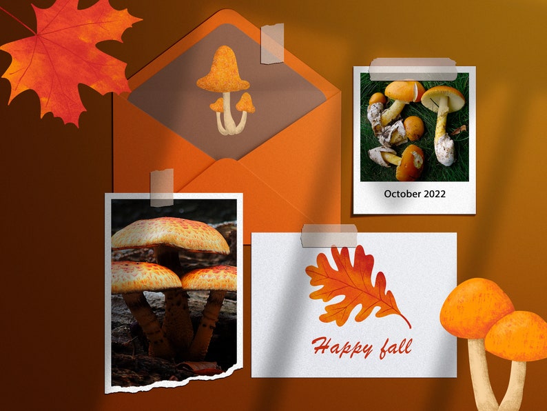 Forest Mushroom Png Clipart Fall Autumn Leaves Berries Clip - Etsy