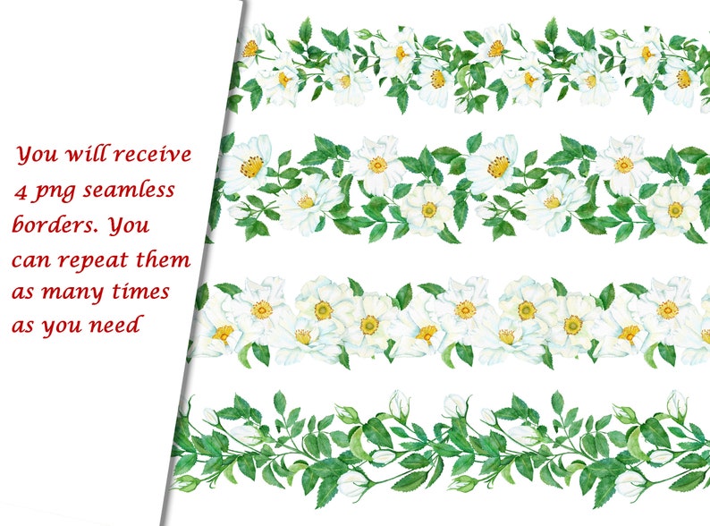 Wild Rose Seamless Png Border, Watercolor Floral Frame File, Wedding ...