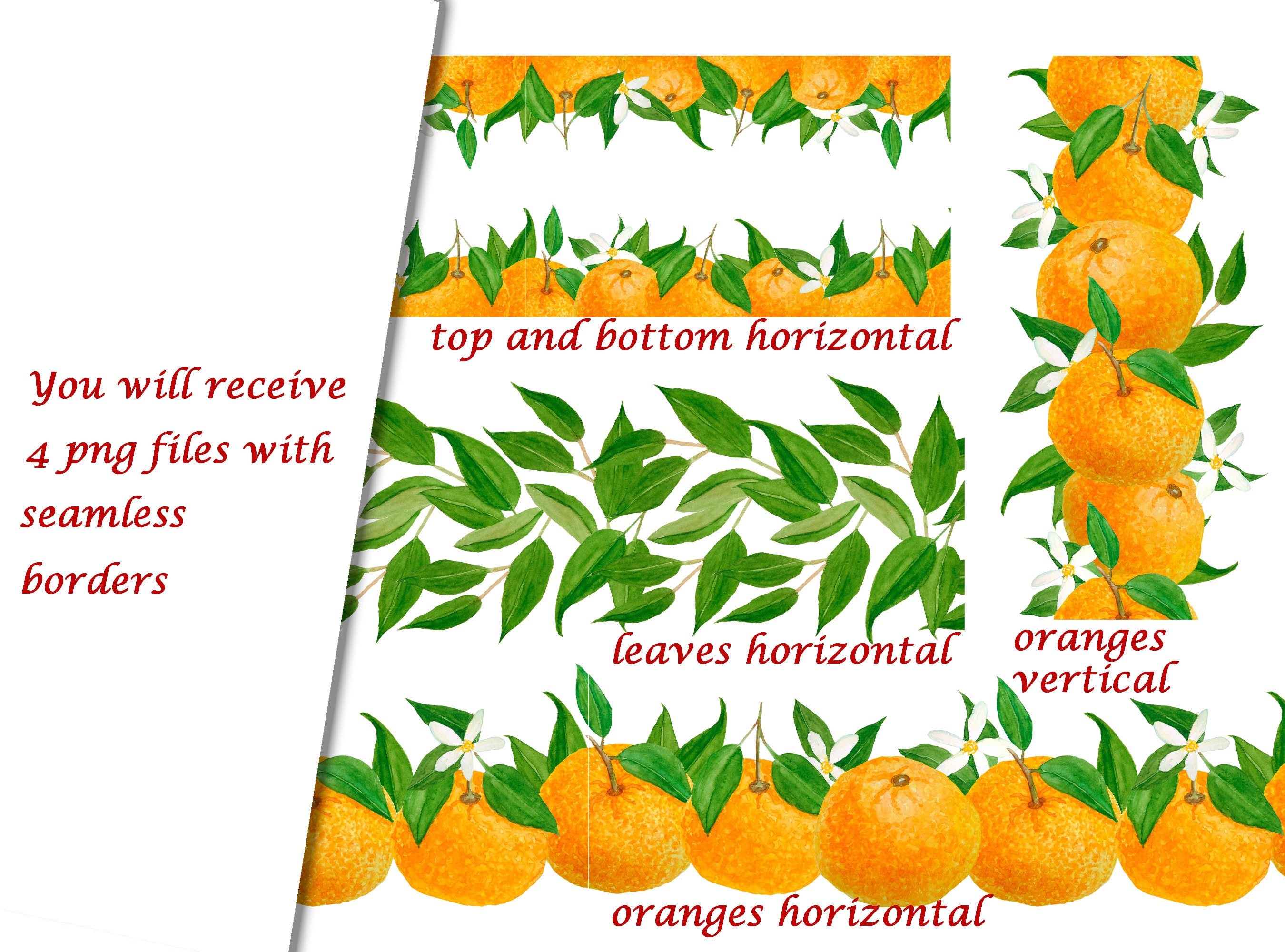 Orange frame clipart Citrus border clipart Tangerine blossom | Etsy