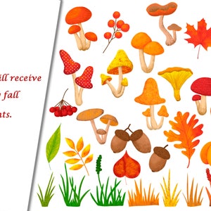 Forest Mushroom Png Clipart, Fall Autumn Leaves Berries Clip Art File ...