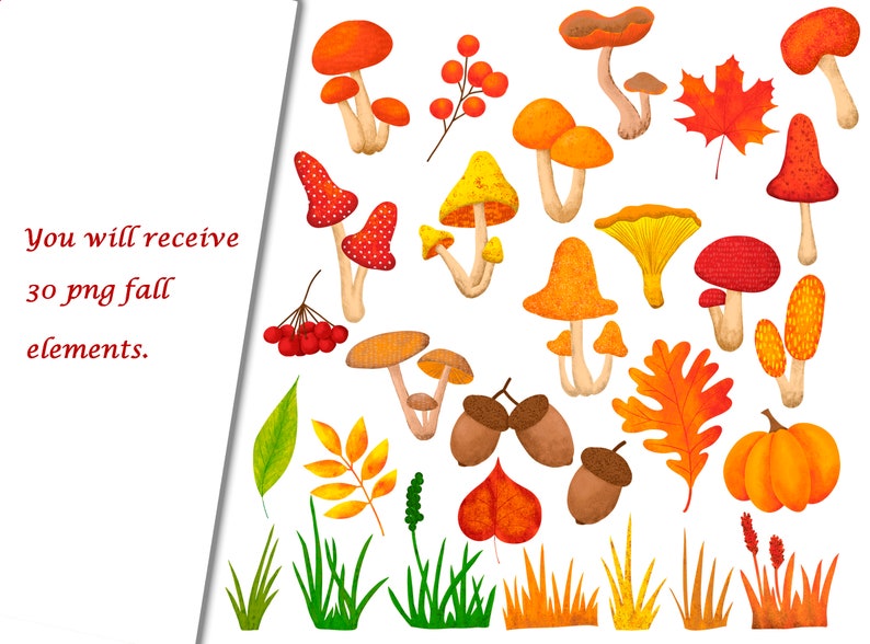 Forest Mushroom Png Clipart Fall Autumn Leaves Berries Clip - Etsy