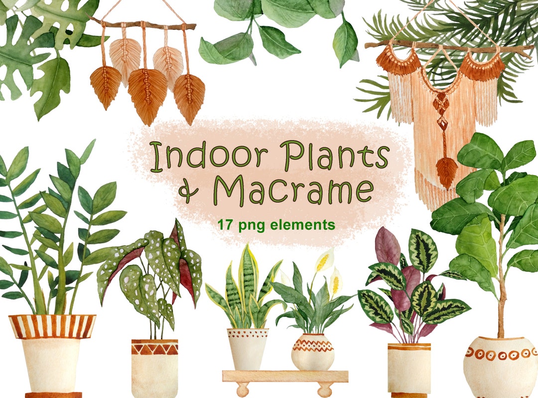 Indoor House Plants Watercolor Clipart, Boho Macrame Clip Art, Potted ...