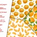 Summer Citrus Digital Paper Pack / Orange Tangerine Seamless Pattern ...