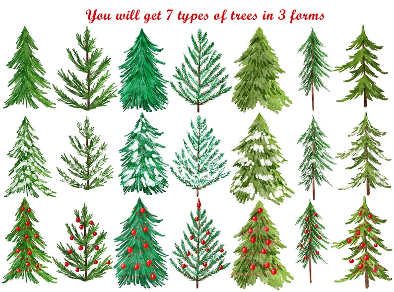 Christmas Tree PNG Clipart Watercolor Winter Clip Art - Etsy