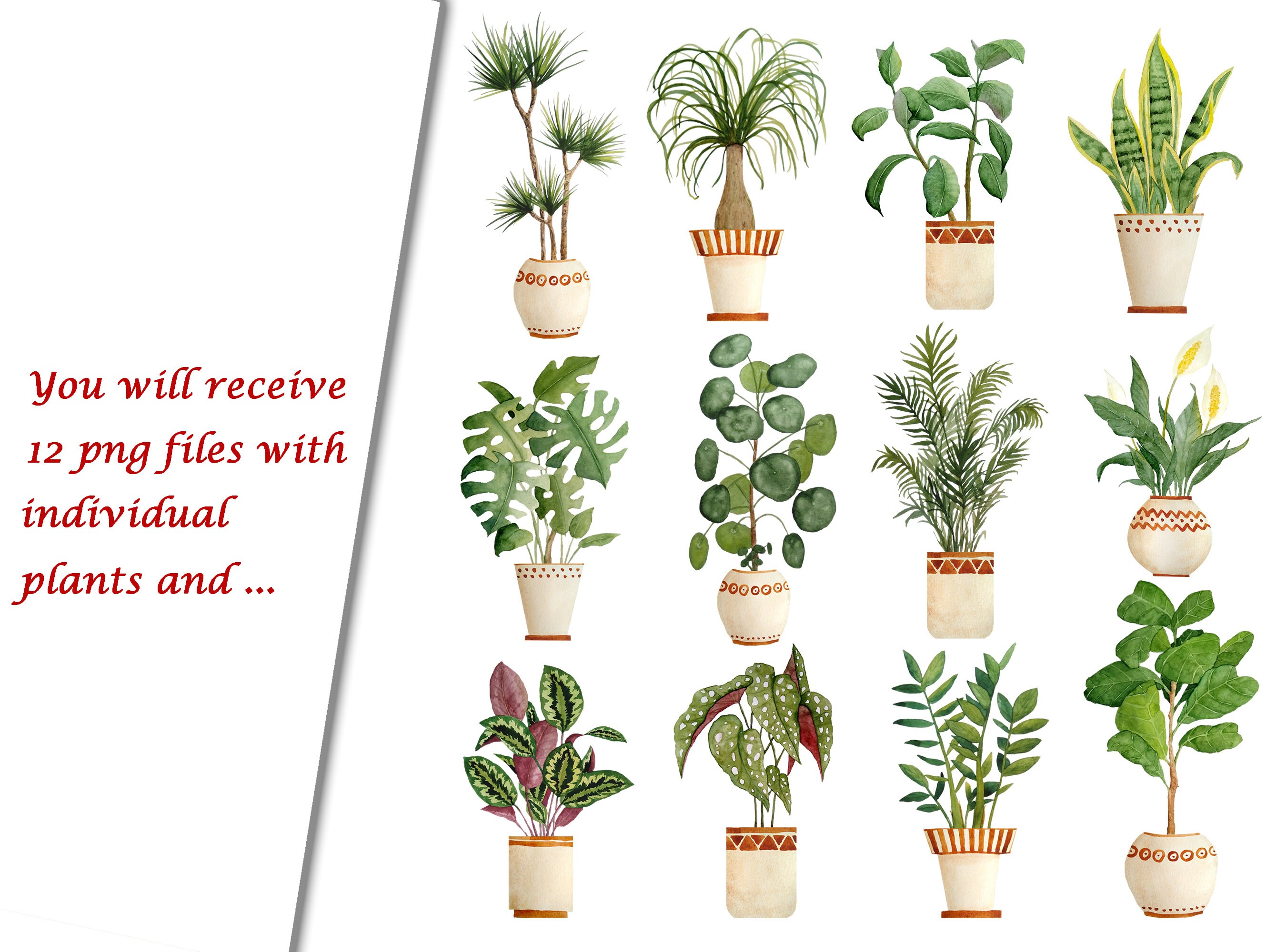 Indoor House Plants Watercolor Clipart Boho Macrame Clip Art - Etsy