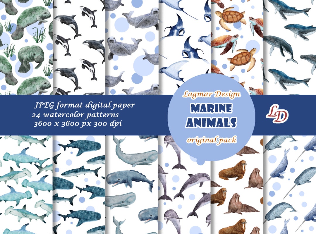 Marine Animals Digital Paper, Ocean Seamless Pattern File, Sea Turtle ...