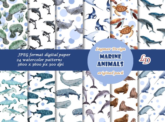 Marine Animals Digital Paper Ocean Seamless Pattern File Sea - Etsy
