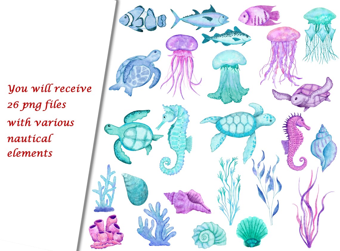 Nautical Sea Clipart, Beach Png File, Pastel Jellyfish Seahorse Fish ...