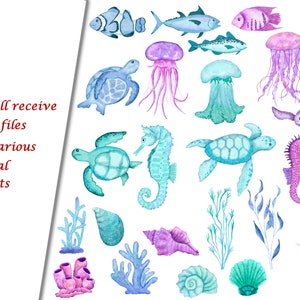 Nautical Sea Clipart, Beach Png File, Pastel Jellyfish Seahorse Fish ...
