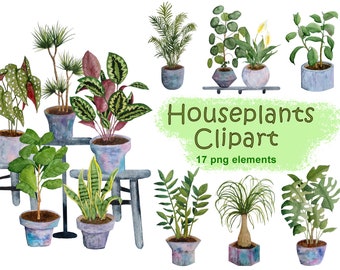 Watercolor House Plants Clipart Indoor Home Potted Plants Png - Etsy