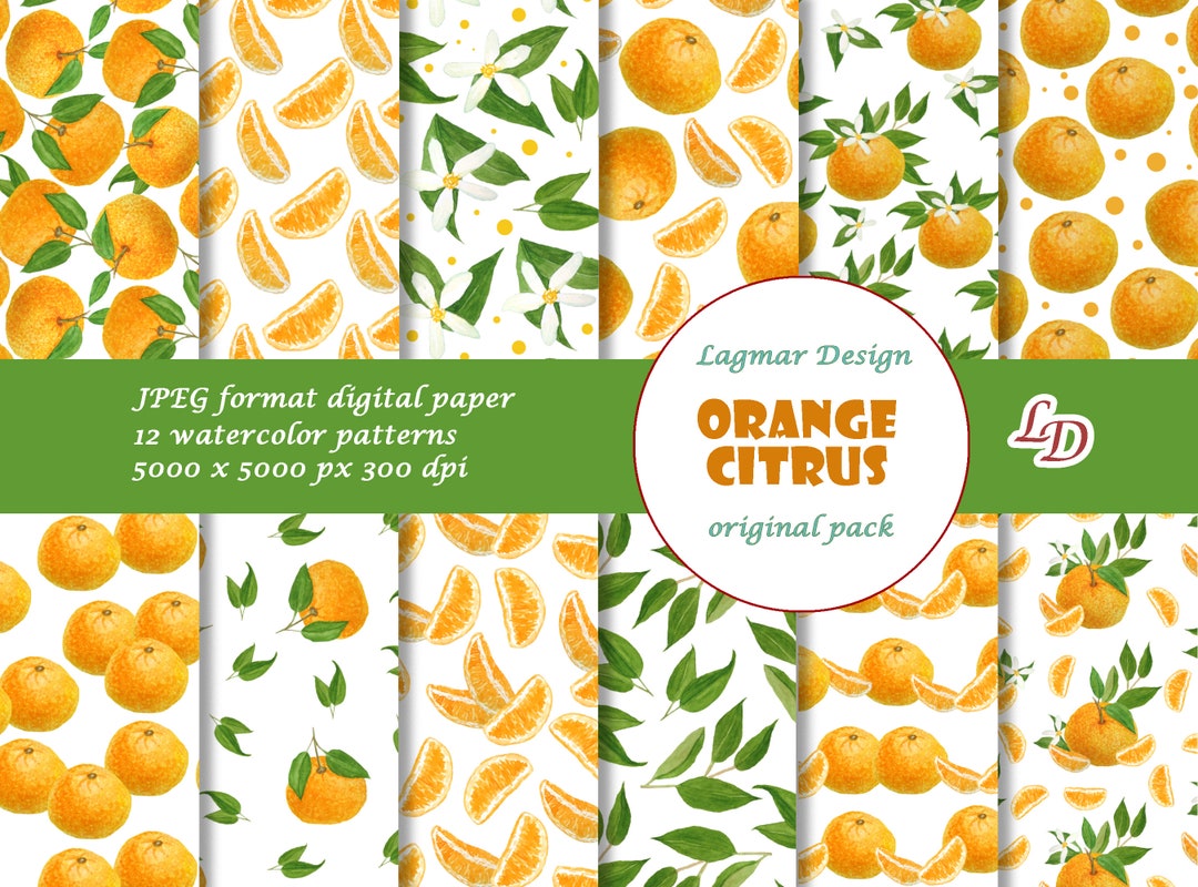 Summer Citrus Digital Paper Pack / Orange Tangerine Seamless Pattern ...