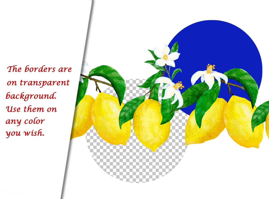 Lemon Seamless Border PNG, Summer Frame File, Citrus Fruit Wedding ...