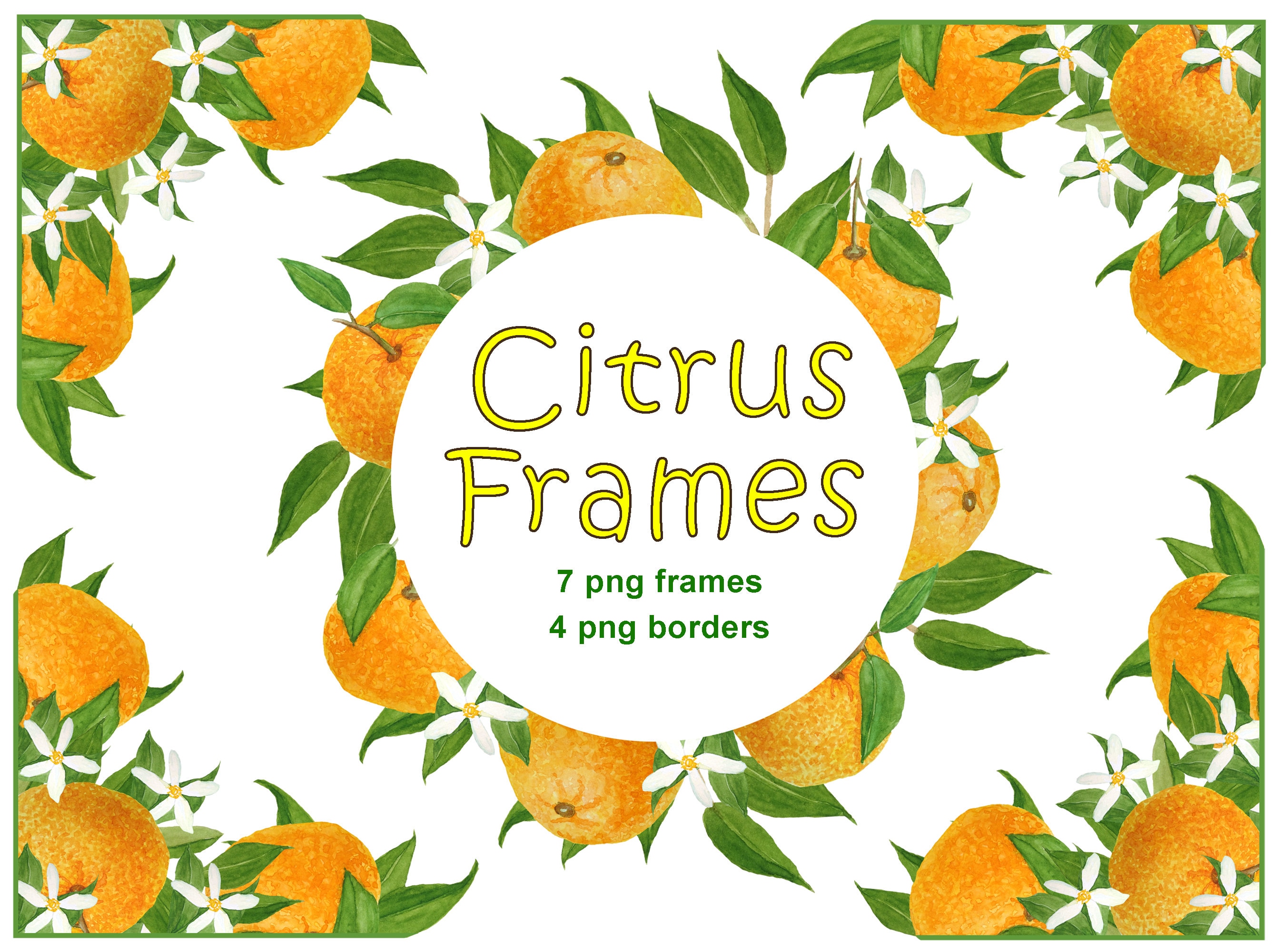 Orange frame clipart Citrus border clipart Tangerine blossom | Etsy