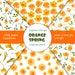 Floral Spring Digital Paper Pack / Pastel Flower Seamless Pattern ...