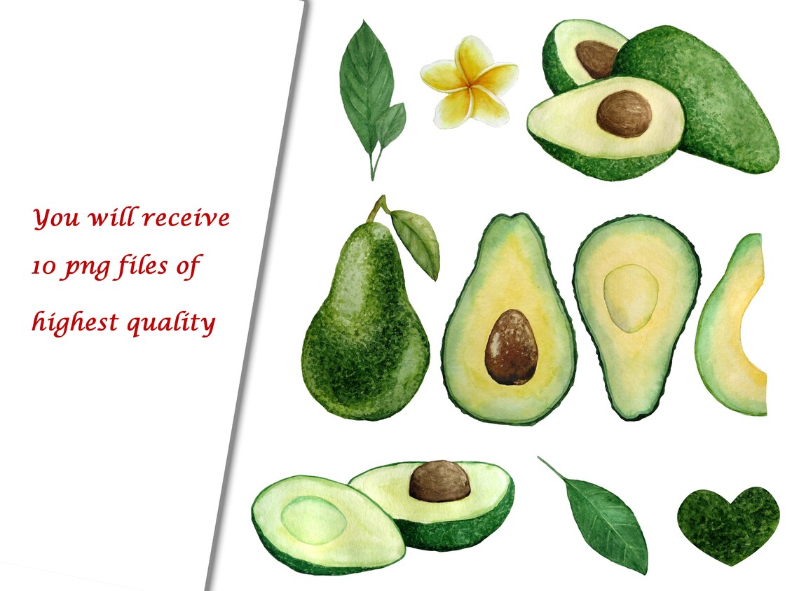 Avocado Clipart / Healthy Food Clipart Download / Green Fruit | Etsy