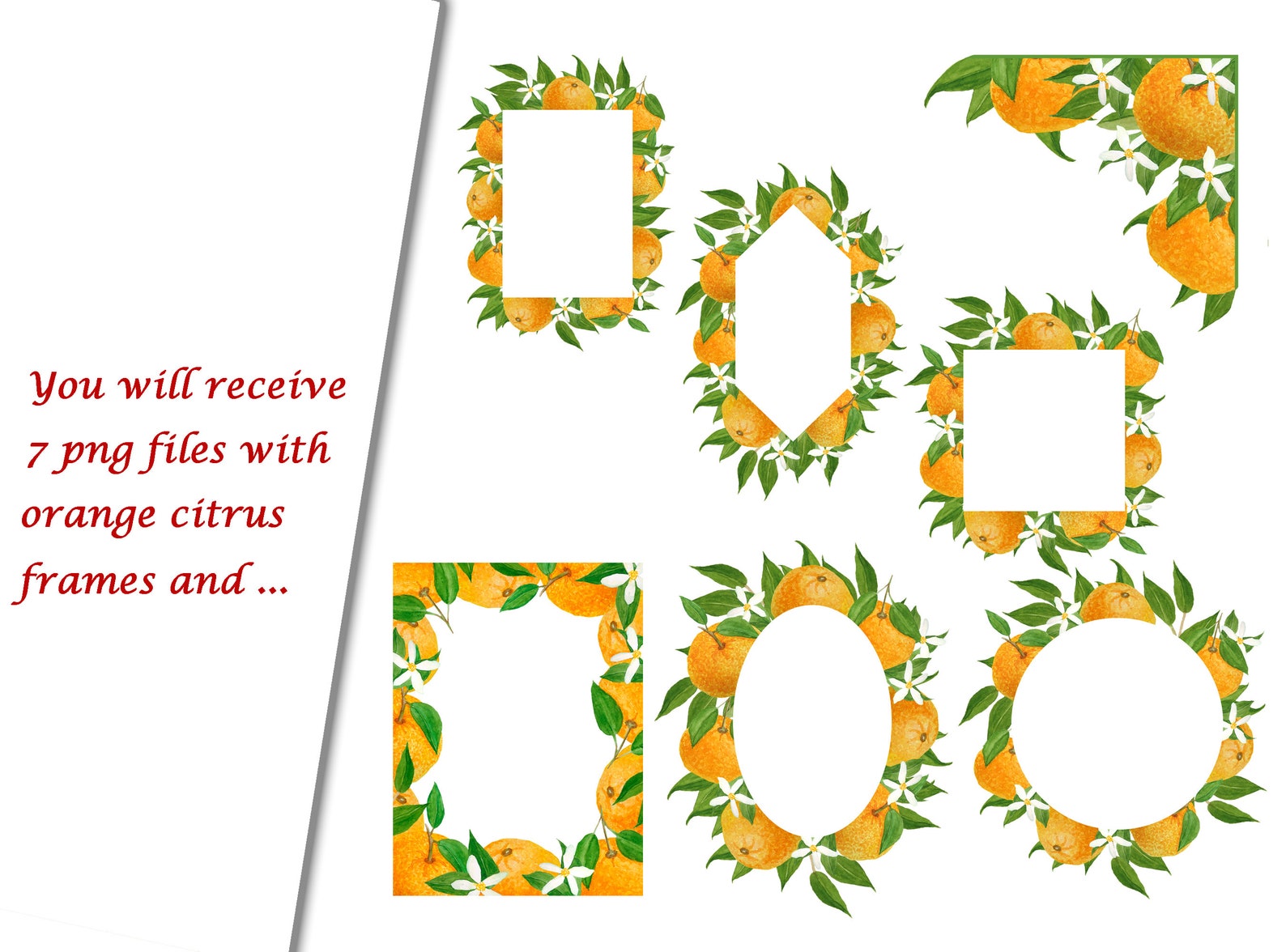 Orange frame clipart Citrus border clipart Tangerine blossom | Etsy