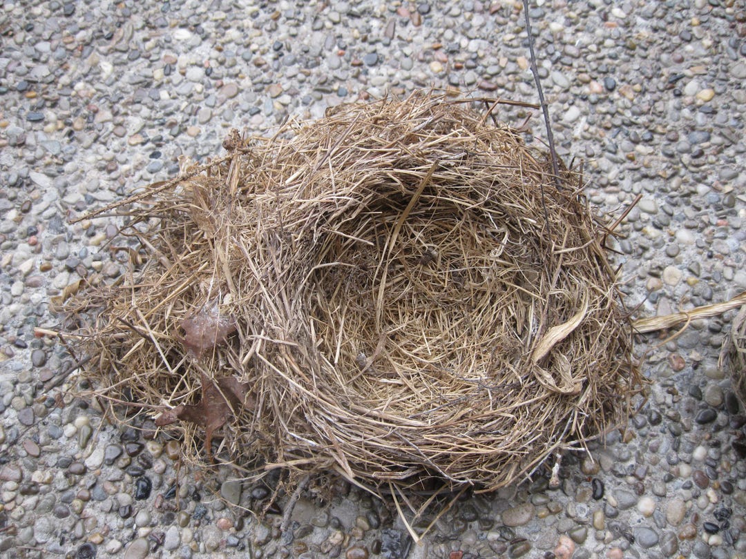 Real Bird Nest-christmas Tree Bird Nest-natural Bird Nest-mud Nest ...